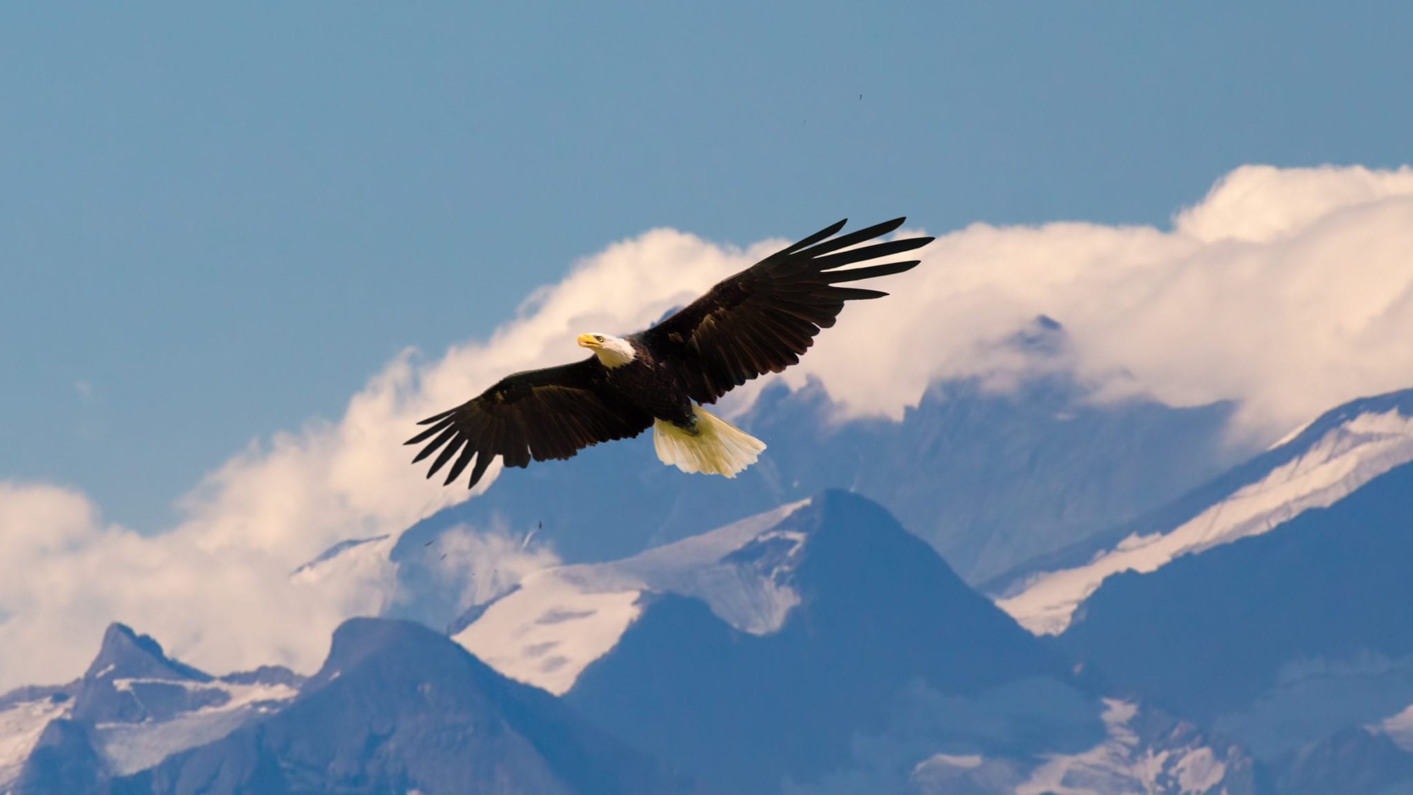 IT'S HARD TO SOAR LIKE AN EAGLE... - America's Keswick Christian ...
