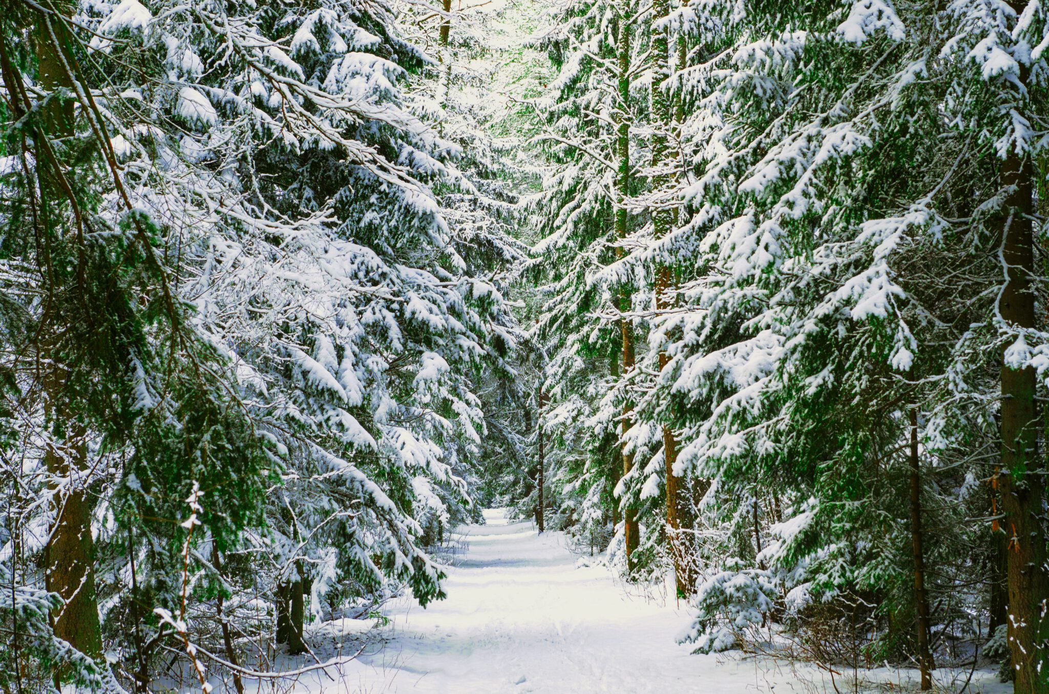 Frigid Cold or Oppressive Heat? - America's Keswick Christian Retreat ...